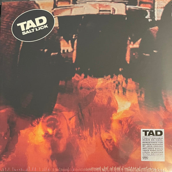 Tad - Salt Lick Vinyl LP Record - The Dark Slide