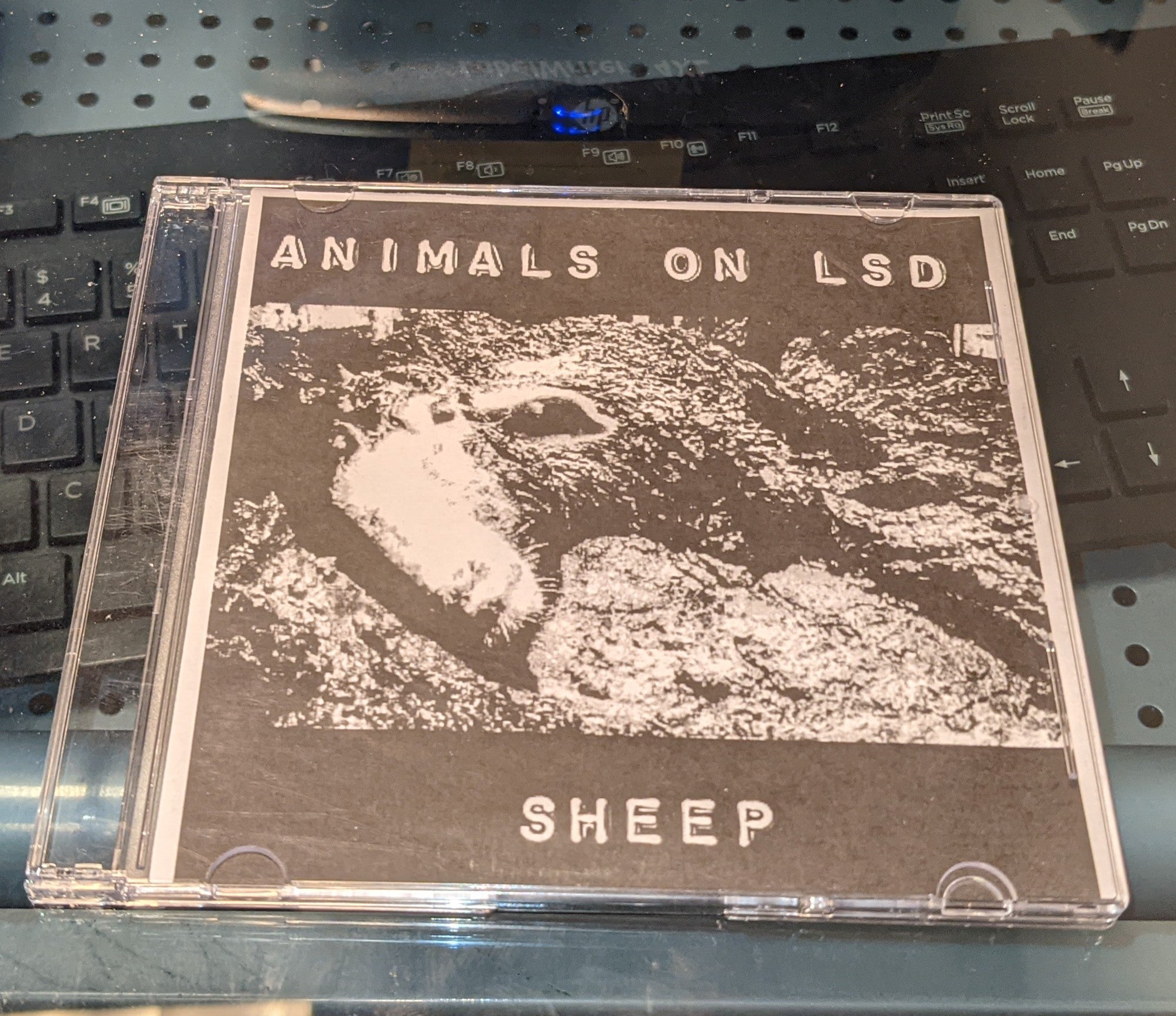Animals On LSD - Sheep CD - The Dark Slide